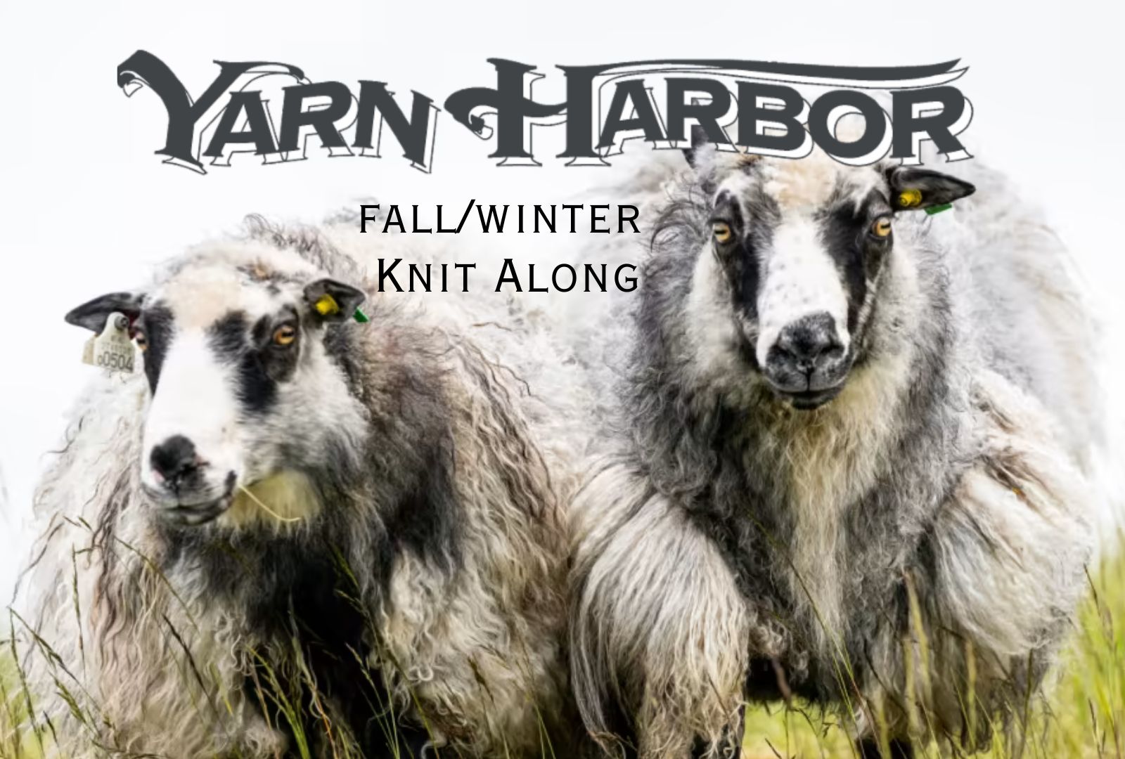 Yarn Harbor - Yarn, Knitting, Crochet, Weaving & Felting Headquarters