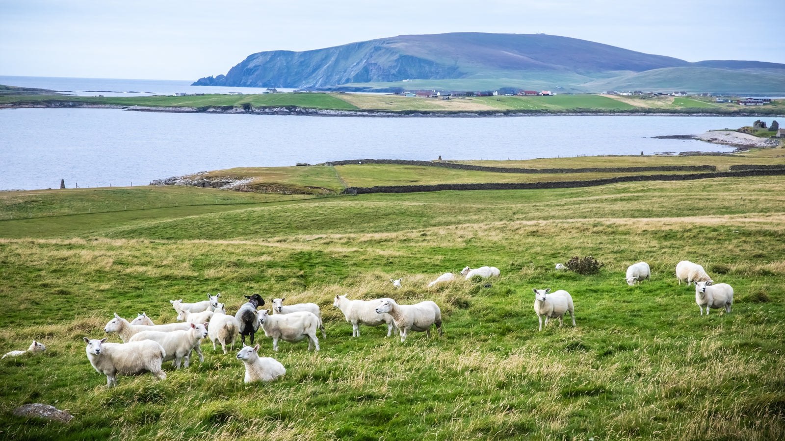 Yarn Harbor - Yarn, Knitting, Crochet, Weaving & Felting Headquarters